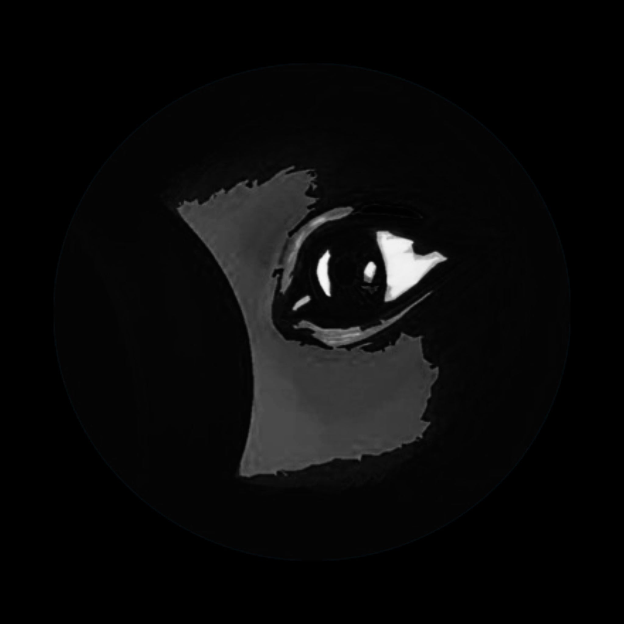 NOCTURNALITY LPPB – Microbat Systems